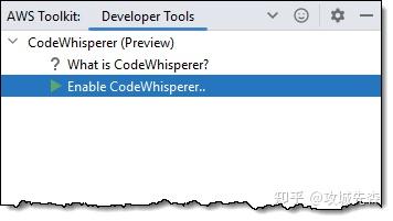 实测 亚马逊AI 编程助手 Amazon CodeWhisperer（全网最全) - 知乎