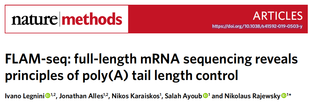 凌恩生物新品上线！三代poly(A)尾测序-FLAM-Seq来啦！ - 知乎