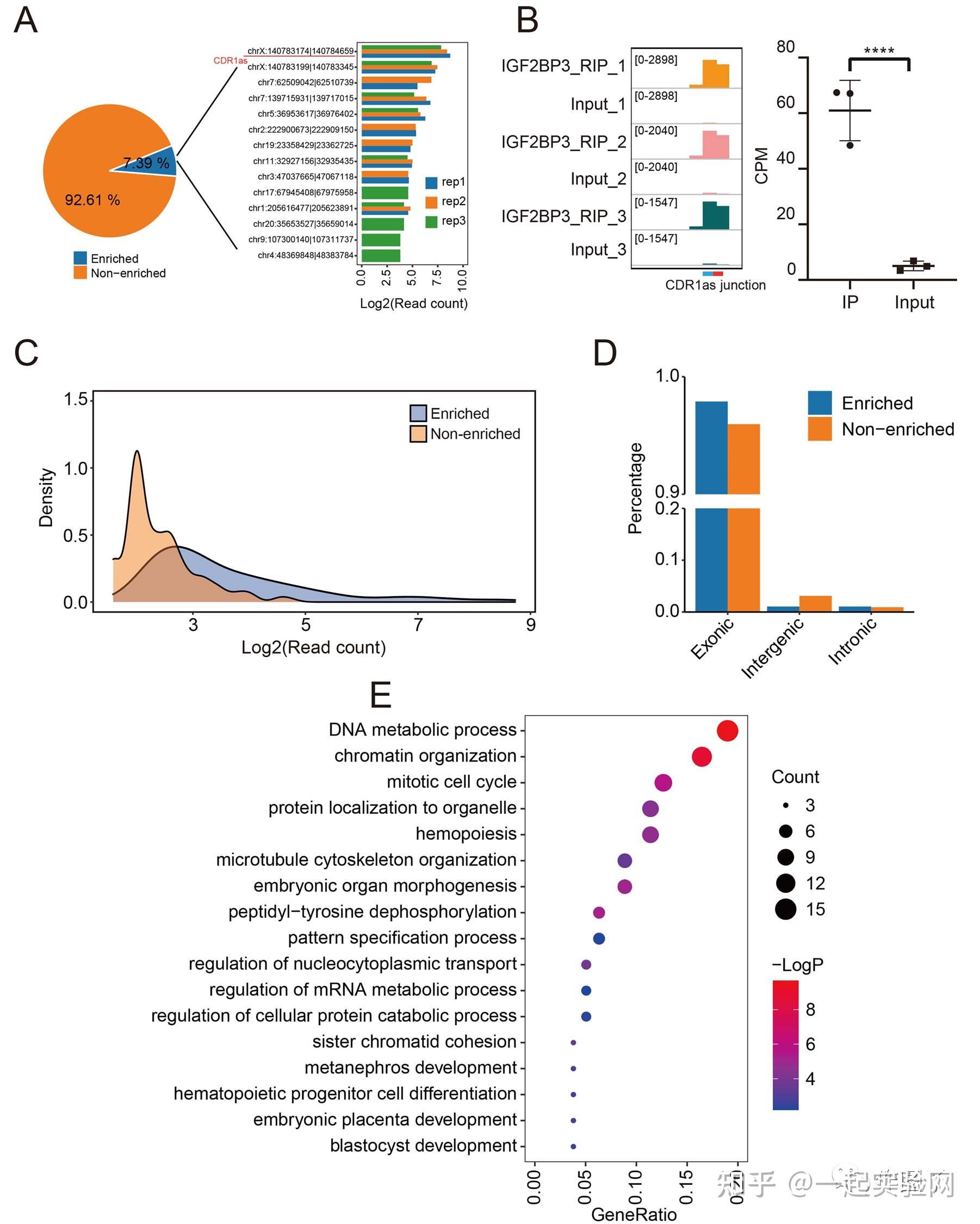 13+！一个识别circRNA-RBP相互作用的工具--circRIP！ - 知乎