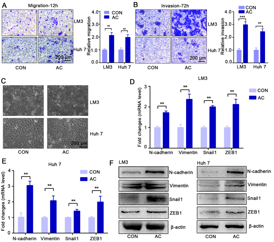 文献精读{酸+转移}：Two-way Column统计与作图 - 知乎