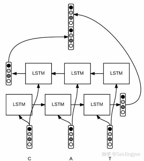 基于BiLSTM-CRF模型的序列标注（Tensorflow） - 知乎