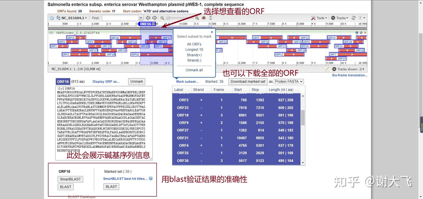 ORF finder 安装与使用 - 知乎