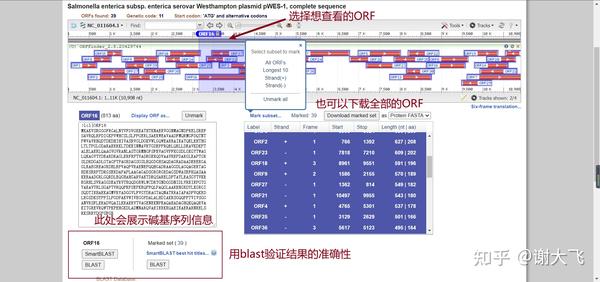ORF finder 安装与使用 - 知乎
