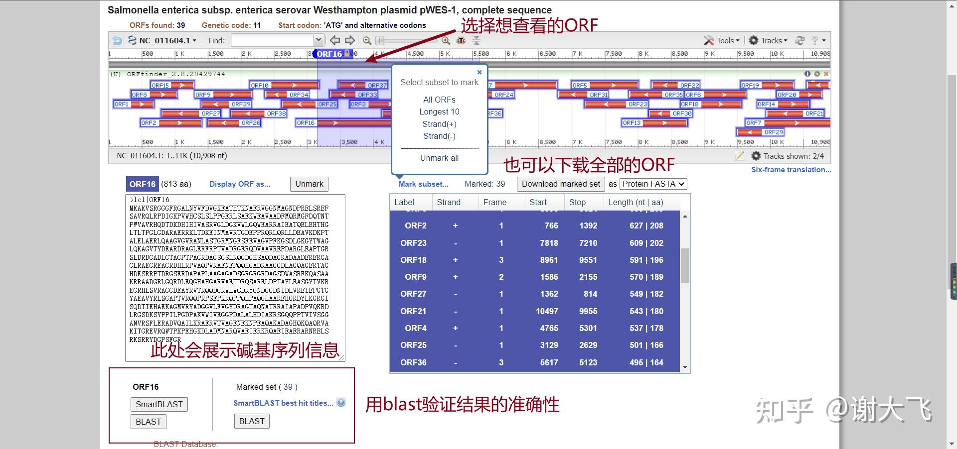 ORF finder 安装与使用 - 知乎