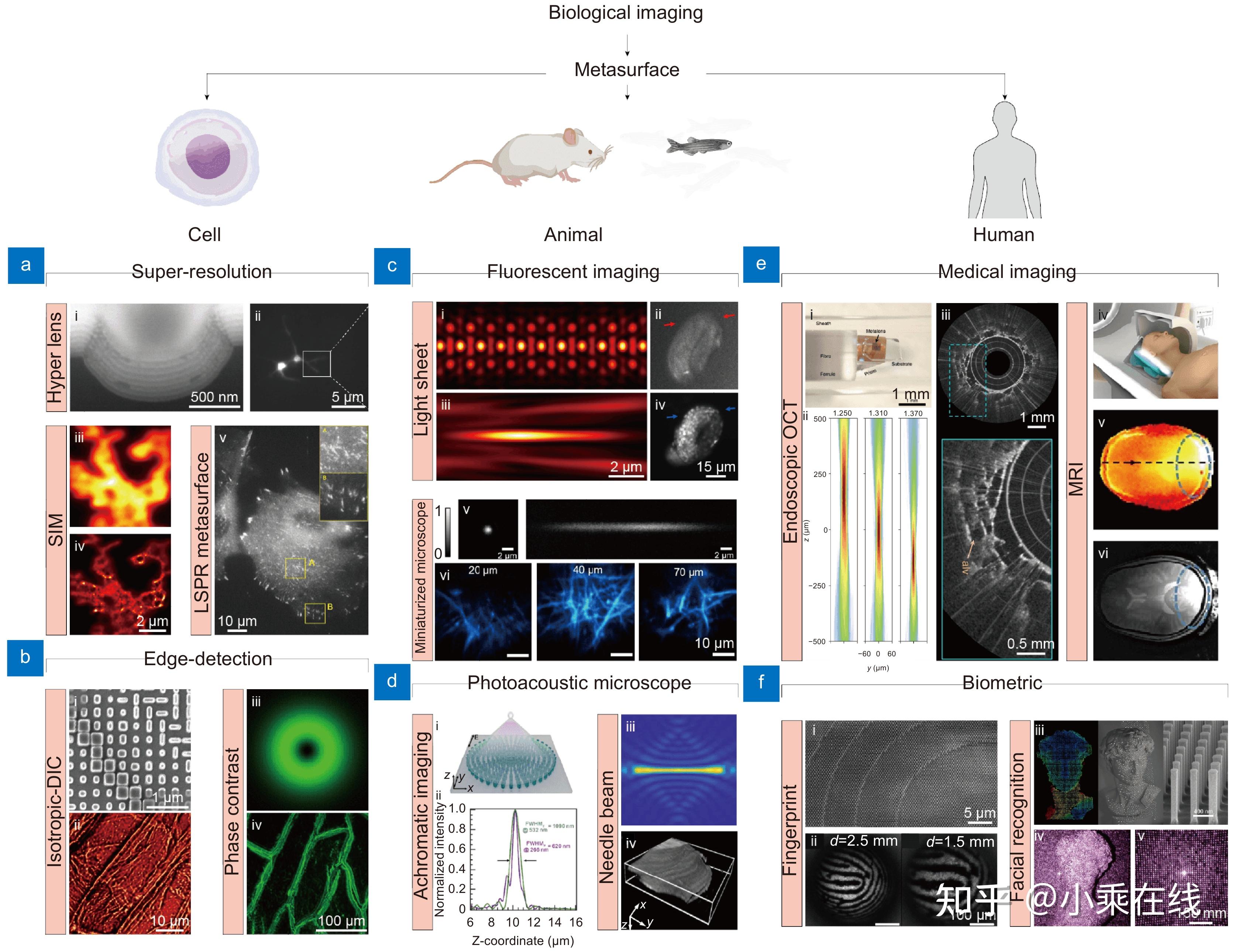 Advanced biological imaging techniques based on metasurfaces - 知乎