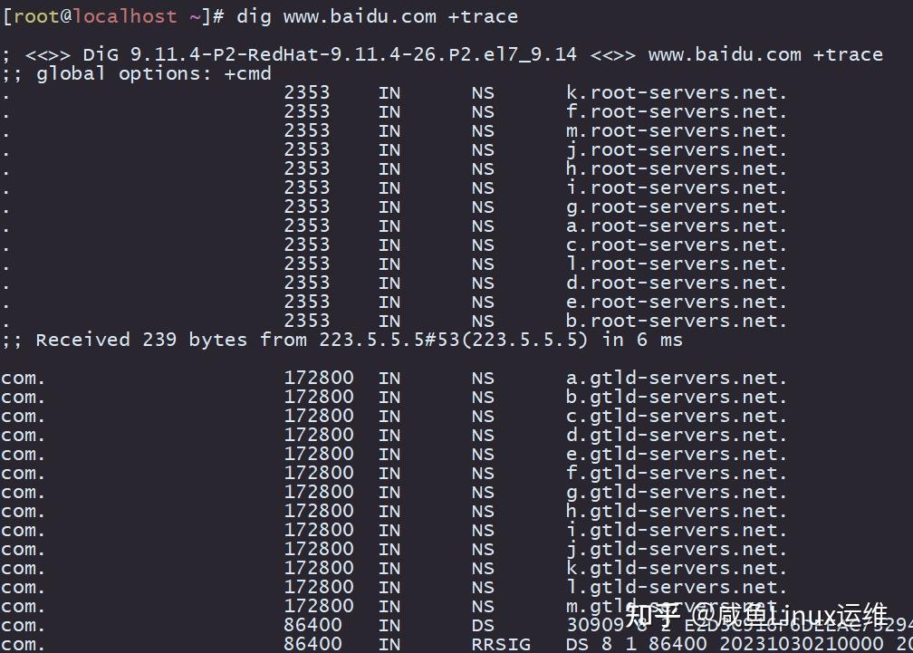 dig 简明教程 - 知乎