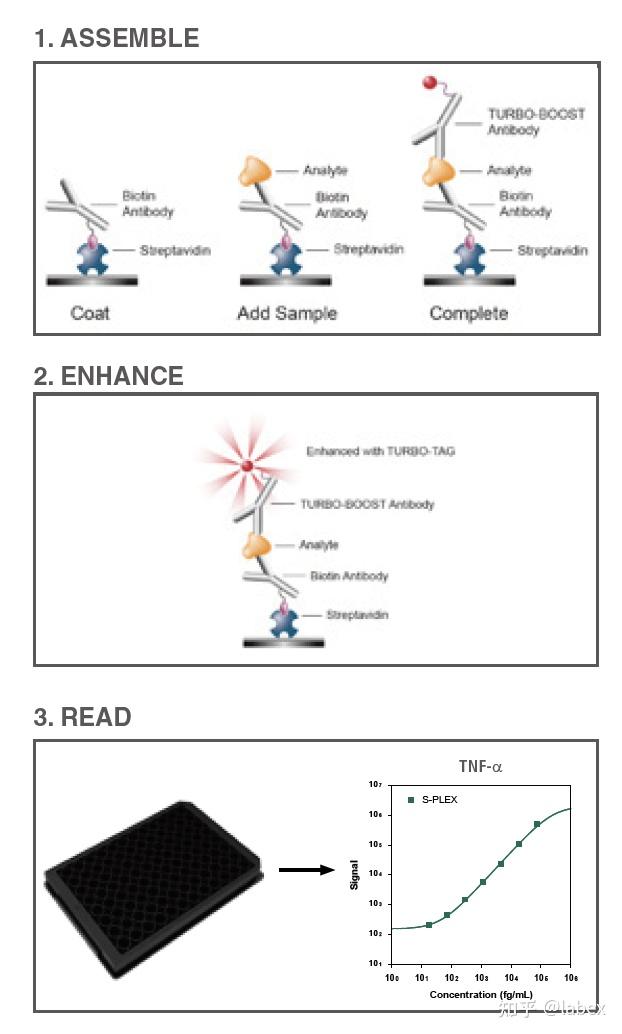 电化学发光 MSD技术与S-PLEX - 知乎