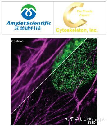 Cytoskeleton 艾美捷SPY505-DNA说明书 - 知乎