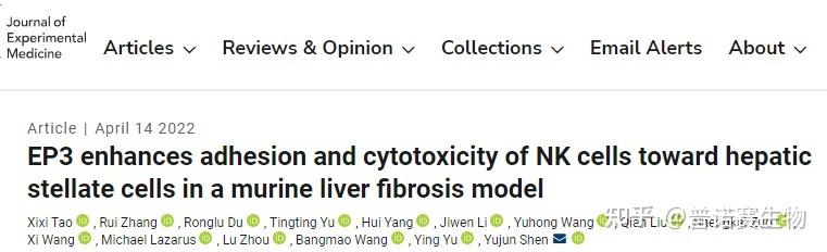 文献解读 | J Exp Med发现NK细胞抑制肝纤维化的作用及机制 - 知乎