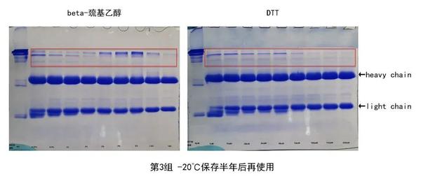 WB蛋白样品完全变性后是否就足够稳定了？我们做了一组实验... - 知乎
