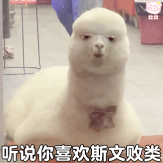 草泥马专属表情包 - 知乎