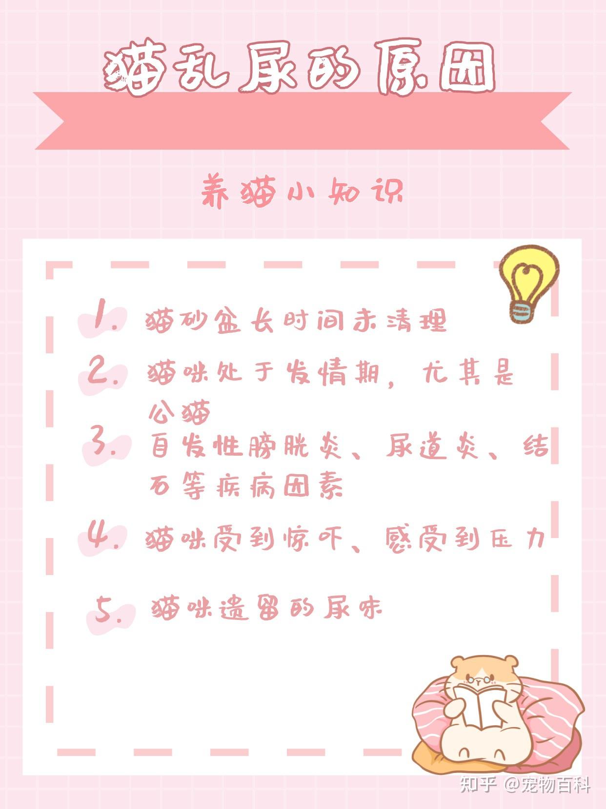 猫咪乱尿的原因 知乎
