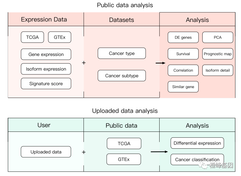 RNA 30. SCI文章中基于TCGA和GTEx数据挖掘神器（GEPIA2） - 知乎