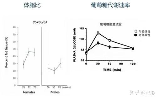C57老龄鼠老年鼠表型及其详细数据！最新出炉 - 知乎
