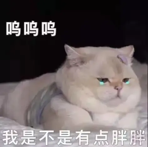 110张可爱的猫猫表情包 - 知乎
