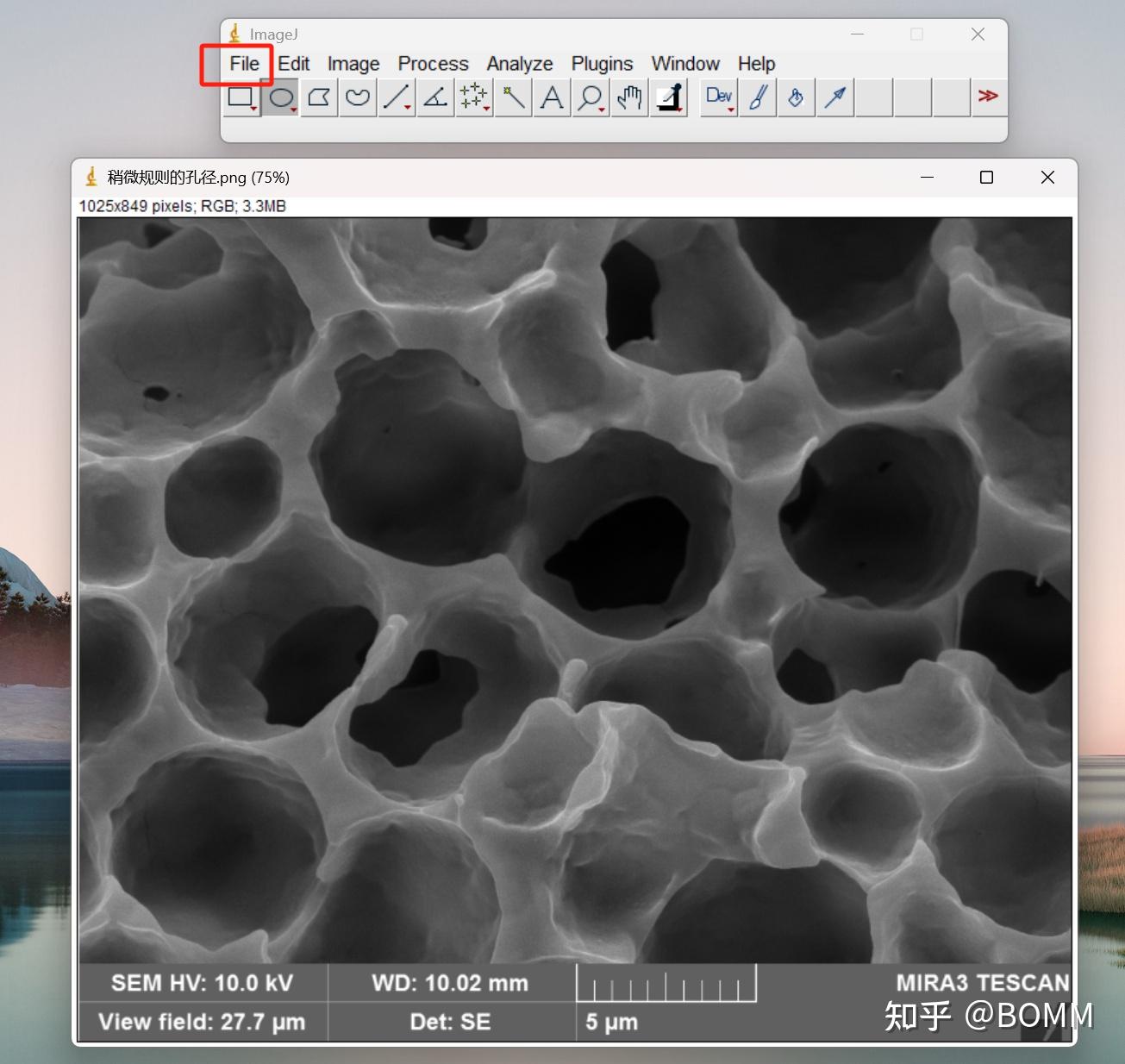imageJ-统计孔径（不规则） - 知乎