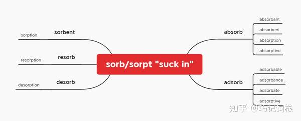 词根系列 | sorb/sorpt "to suck" - 知乎