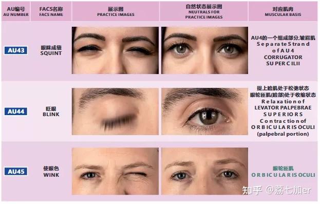 FACS-Facial Action Coding System 面部表情编码系统 各AU(Action Unit)说明 - 知乎