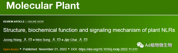 Molecular Plant | 柴继杰团队详细综述植物免疫受体的结构、生化功能和信号传导机制！ - 知乎