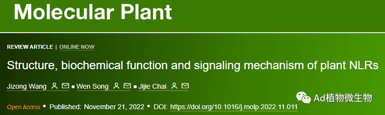 Molecular Plant | 柴继杰团队详细综述植物免疫受体的结构、生化功能和信号传导机制！ - 知乎
