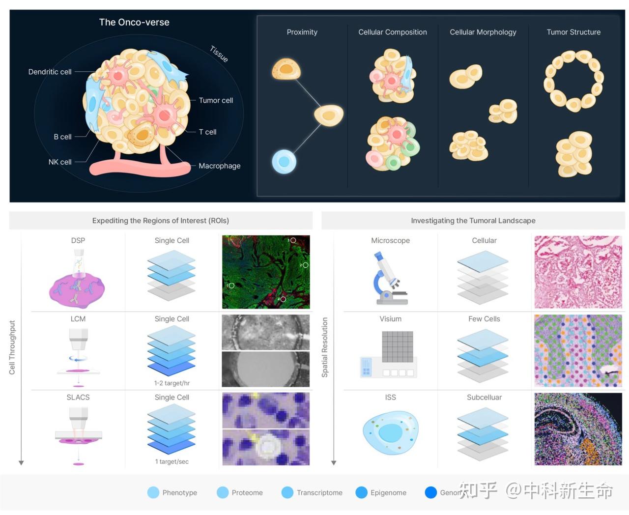 Mol Cancer（IF：27.7）| Mol Cancer（IF：27.7）| 全新洞察！看空间癌症生物学图谱如何赋能肿瘤研究！ - 知乎