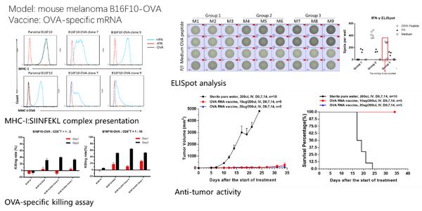 肿瘤疫苗研发进展及生物学评价 - 知乎