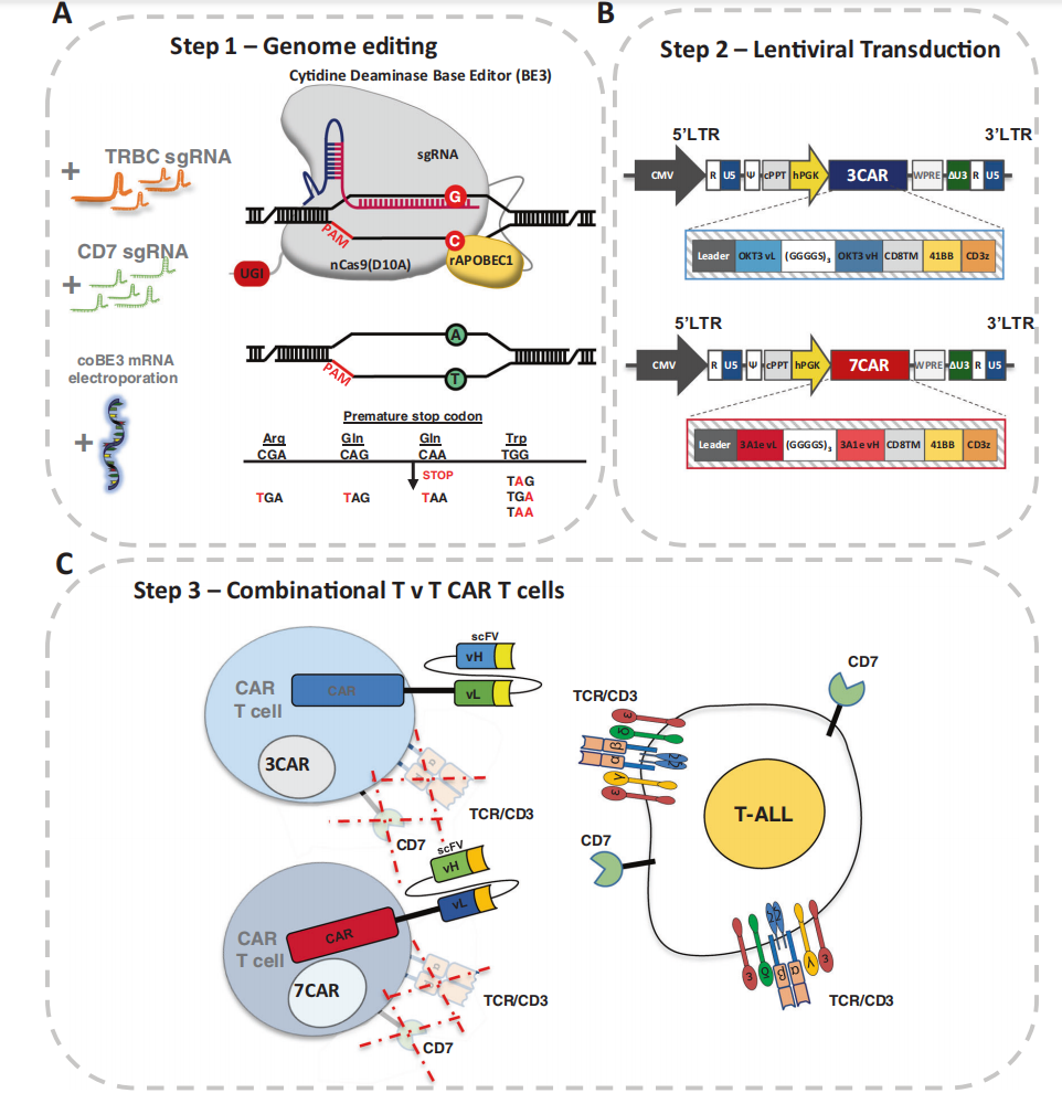 Lonza 4d-Nucleofector LV大体积转染应用分享！_化工仪器网