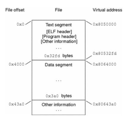 ELF文件和Linux加载 - 知乎