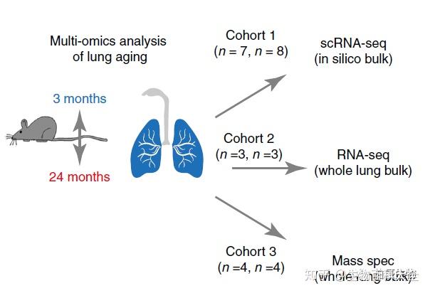 双剑合璧|scRNA-seq与bulk RNA-seq联合分析 - 知乎