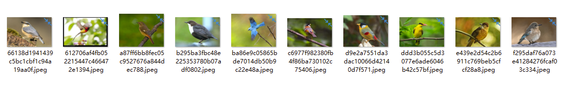 pytorch中的数据集的制作与使用 - 知乎