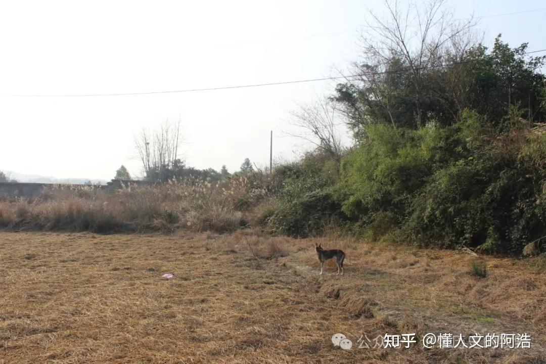 “湖南”是怎样形成的，3分钟看完湖南省的历史｜文史宴 - 知乎