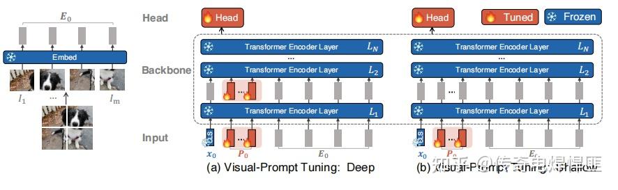 Visual Prompt Tuning —— CV上的Prompt Tuning - 知乎