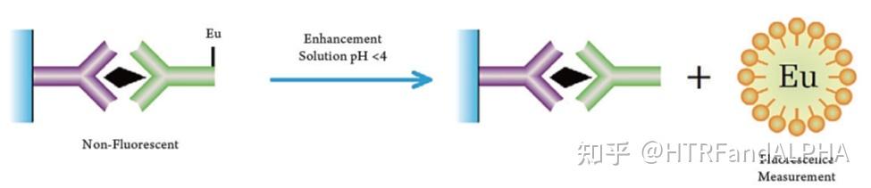 DELFIA ——解离增强镧系元素荧光免疫分析技术 - 知乎