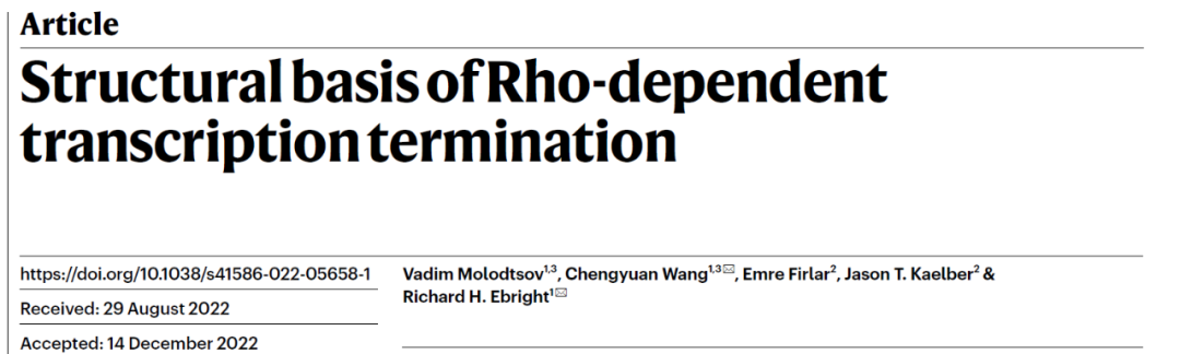 Nature | 揭示新型抗生素靶点结构：细菌Rho因子依赖型转录终止 - 知乎