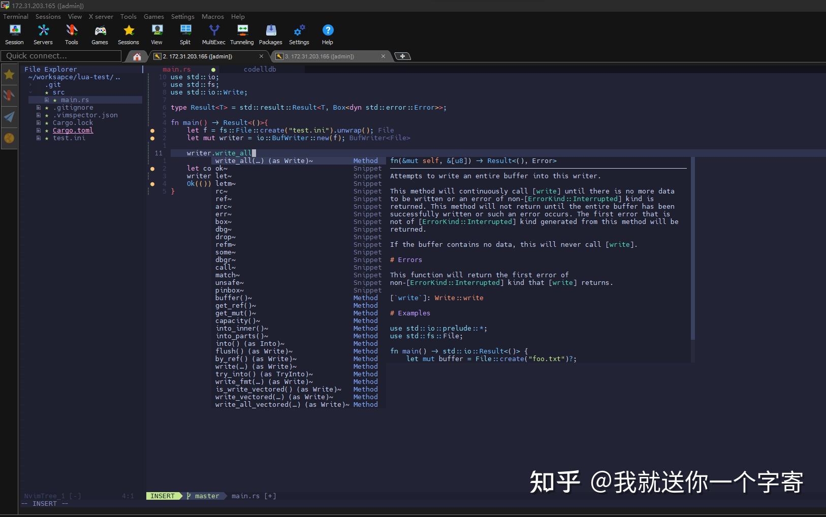 从零开始：使用Neovim搭建Rust开发IDE - 知乎