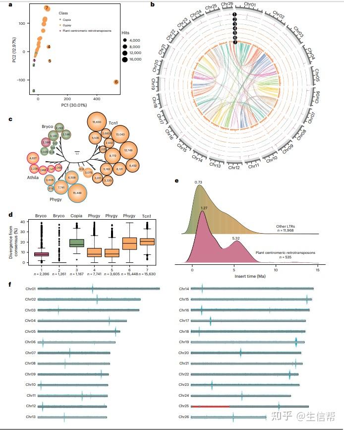 NP-模式植物小立碗藓T2T基因组发布(详细解读) - 知乎
