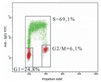 纯化抗BrdU检测丨EXBIO BrdU抗体应用 - 知乎
