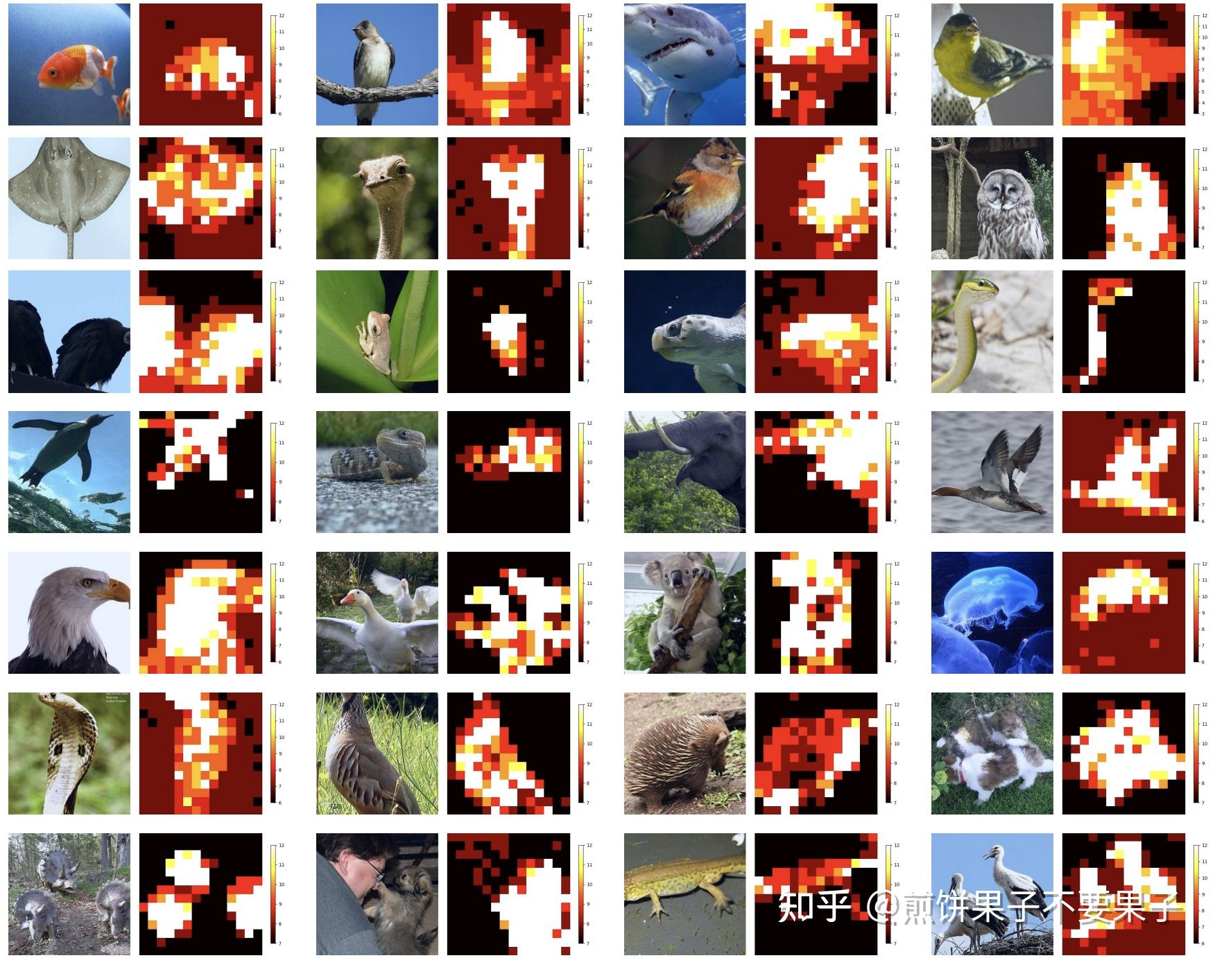 【筛选每层 token】AdaViT: Adaptive Tokens for Efficient Vision Transformer - 知乎