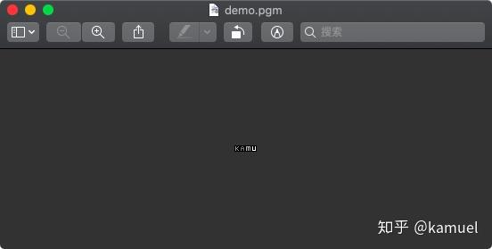刻意练习FFmpeg系列：最简单的图像格式PGM灰度图 - 知乎