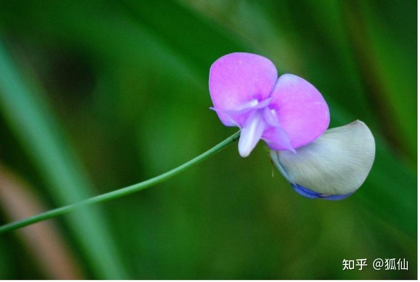 我们公司在安哥拉的那些厨师《我在安哥拉的日子360》 - 知乎