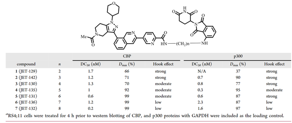 Discovery of ExceptionallyPotent,Selective, and Efficacious PROTACD ...