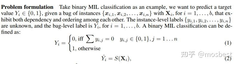 TransMIL: 基于 Correlated Multiple Instance Learning Transformer 用于 WSI ...