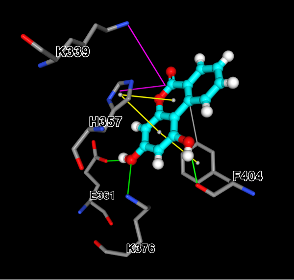 高质量PyMOL作图教程 - 知乎