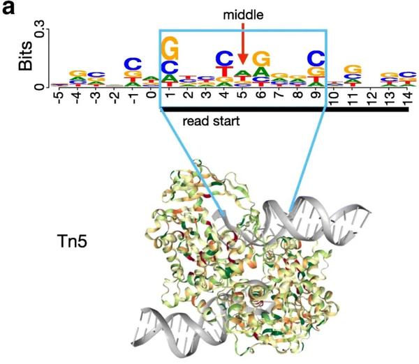 一文详解ATAC-seq原理+读图：表观遗传的秀儿 - 知乎