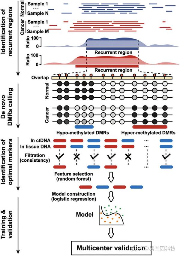 易基因｜ctDNA甲基化测序分析（ctDNA-WGBS）用于癌症检测和分子分型 | 精准医学 - 知乎