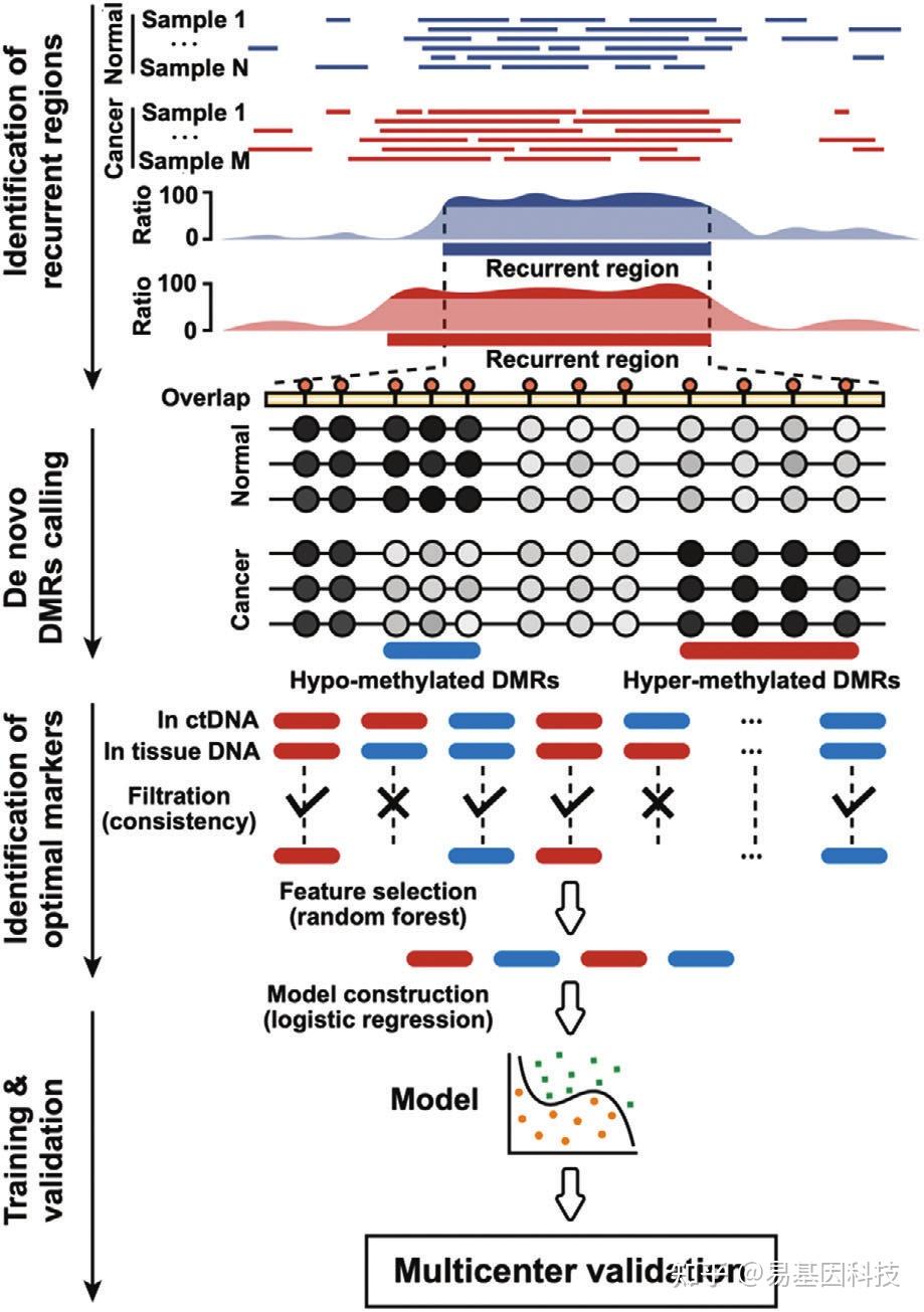 易基因｜ctDNA甲基化测序分析（ctDNA-WGBS）用于癌症检测和分子分型 | 精准医学 - 知乎