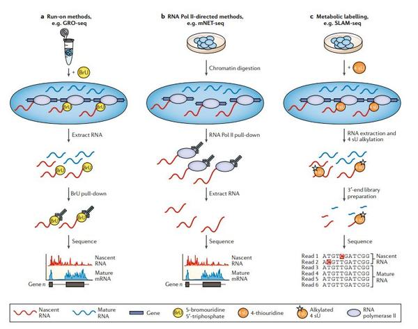 Nature重磅综述 |关于RNA-seq，你想知道的都在这 - 知乎