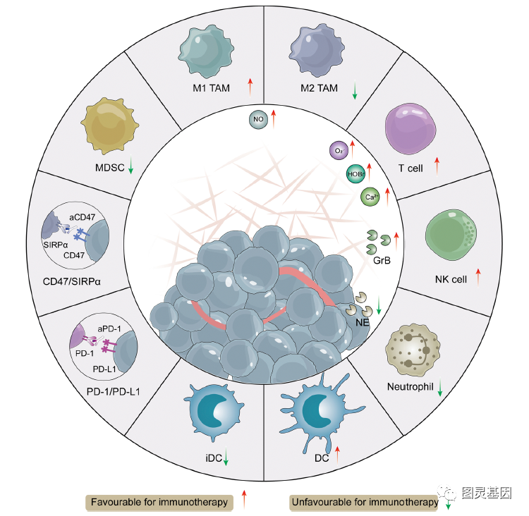 Che Soc Rev |北京大学应用纳米探针分子成像于肿瘤患者分层 - 知乎