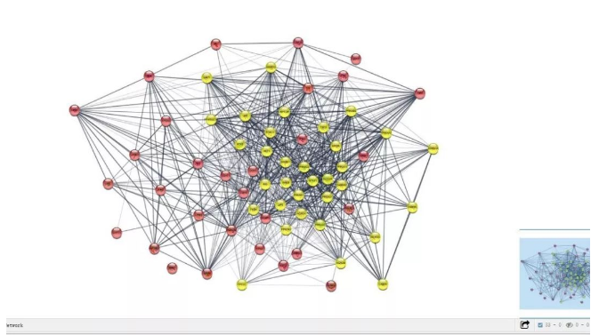 【指南】Cytoscape之stringAPP蛋白互作分析详解 - 知乎