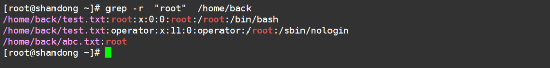 Linux 文本处理神器！grep 命令助你轻松玩转文本搜索！ - 知乎
